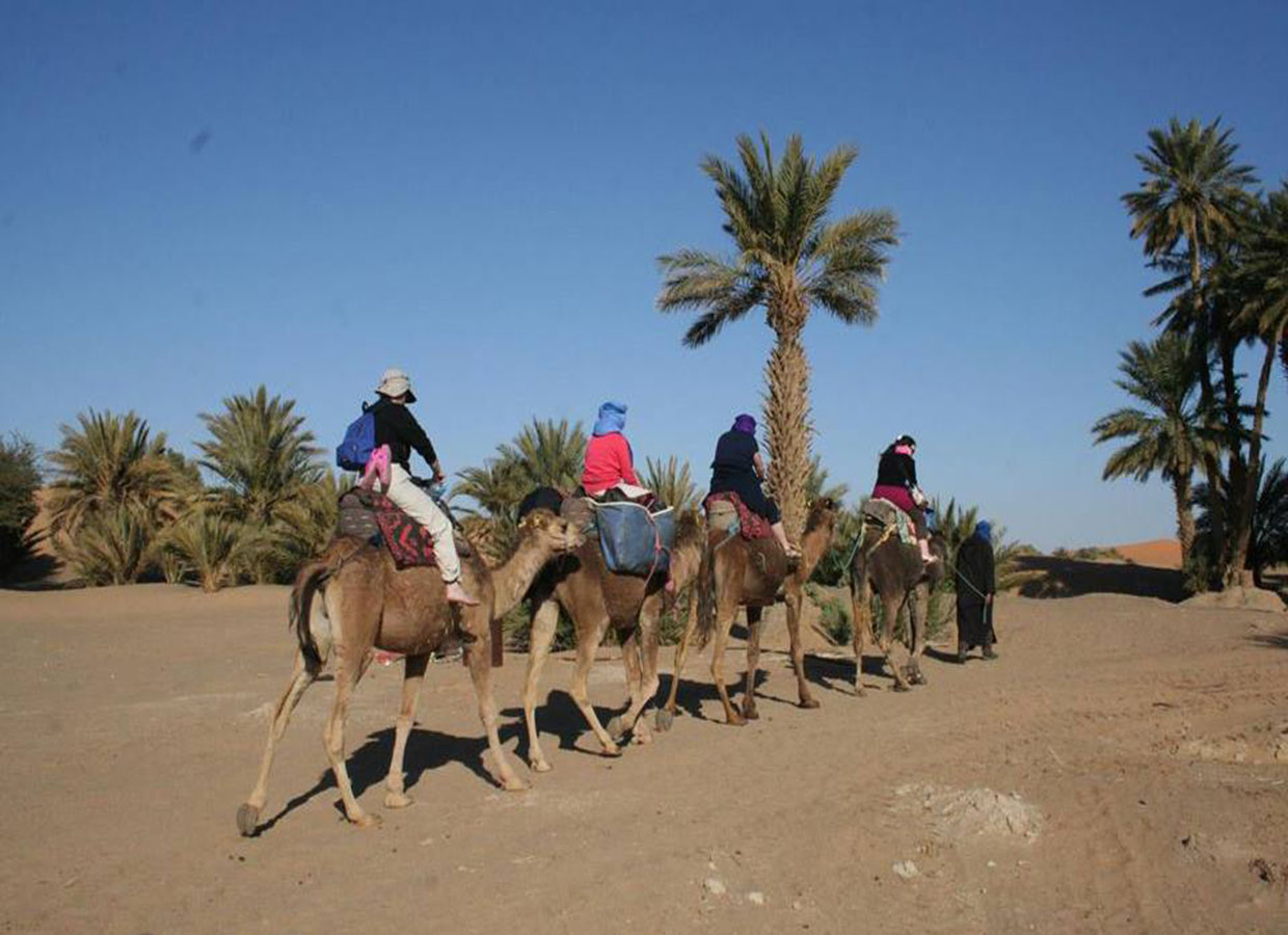 Best Overnight Camel Trek From Zagora To The Desert - Zagora Desert